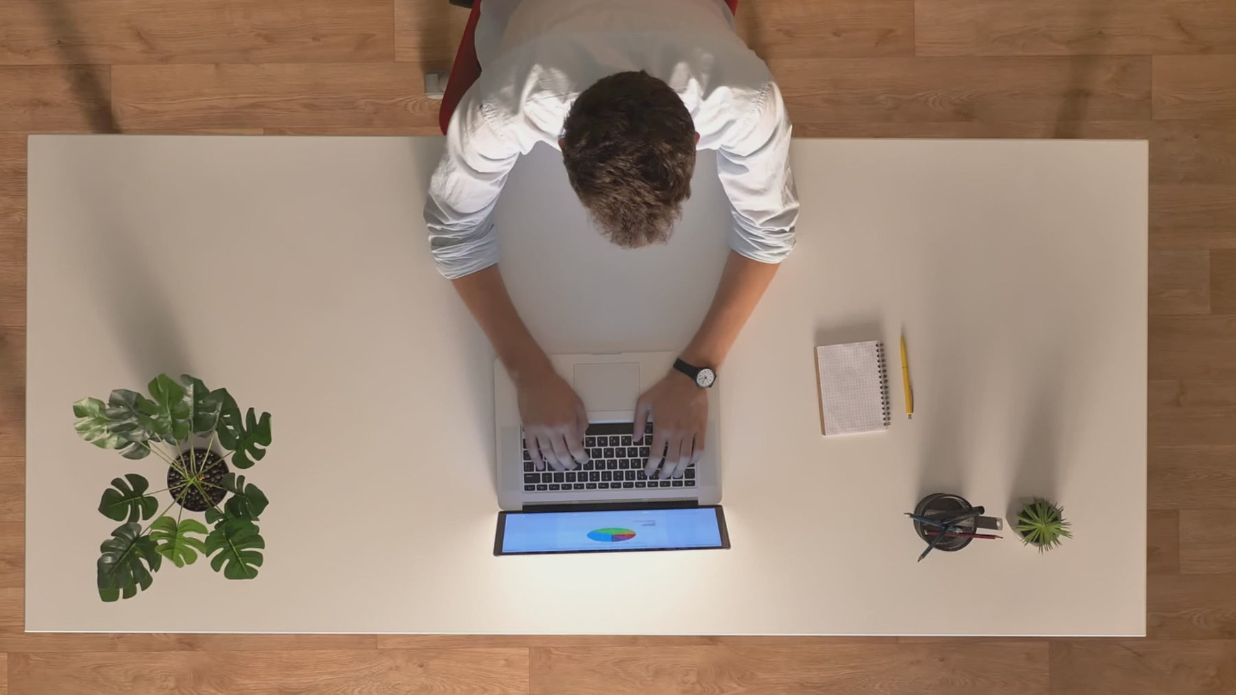 Best Orthopedic Mattress - Spineline - (100% Natural Latex) – MM Foam