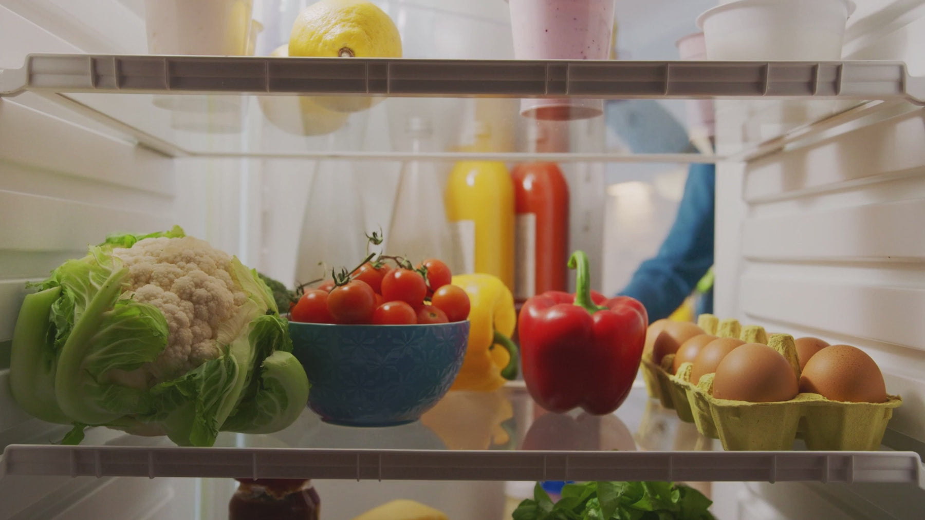 Best Orthopedic Mattress - Spineline - (100% Natural Latex) – MM Foam