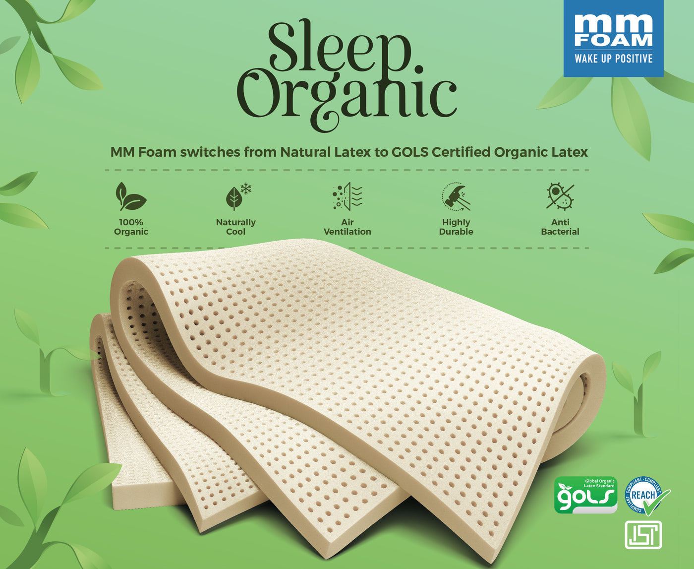 100% Organic Natural Latex Mattresses – MM Foam